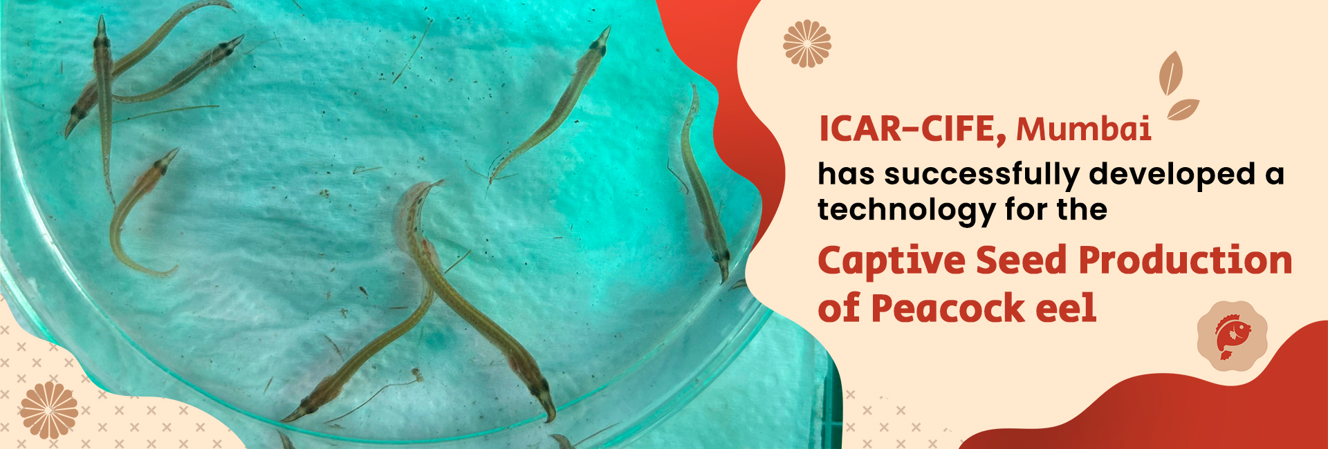 Home | Official website of ICAR-Central Institute of Fisheries ...